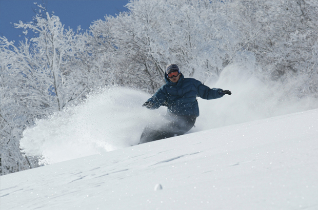 Madarao Ski Resort review | Japan - Ski Asia