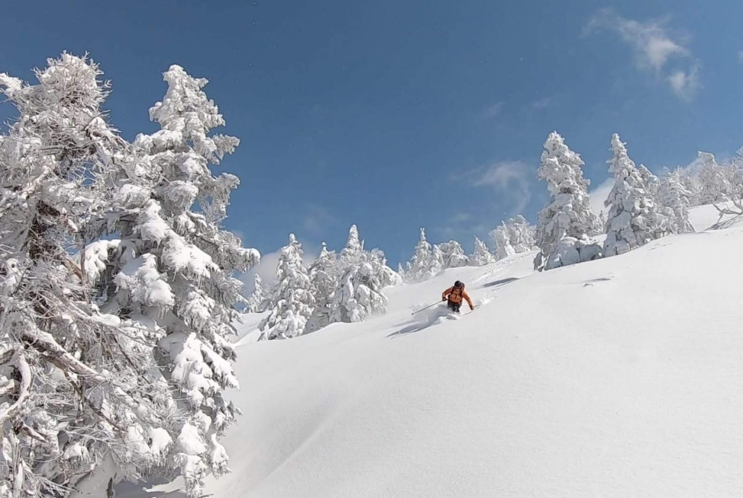 Hakkoda Ski Resort review | Japan - Ski Asia