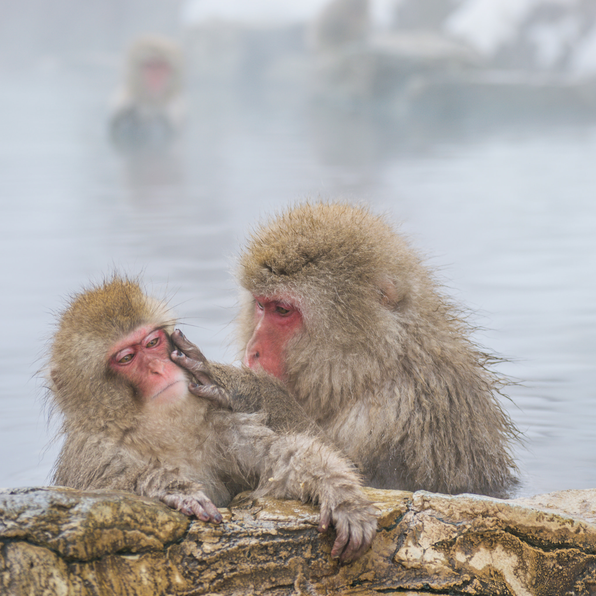 6 things to do away from the mountain in Myoko | Ski Asia
