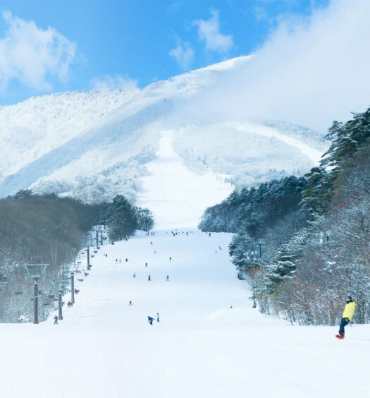 Where can I buy ski and snowboard gear in Tokyo? (and is it worth it ...